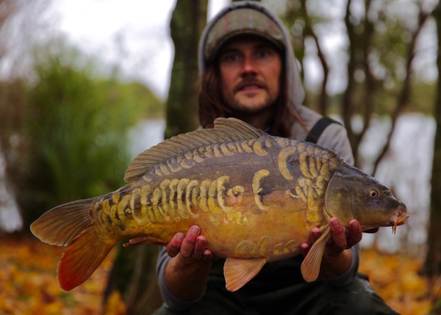 Fish Farm - Prices - XL Carp Fryerning