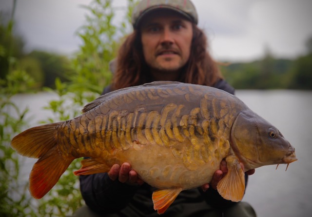 Fish Farm - Prices - XL Carp Fryerning